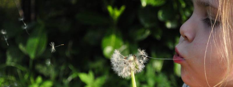 Rewilding Childhood – Heidi Barr | Author