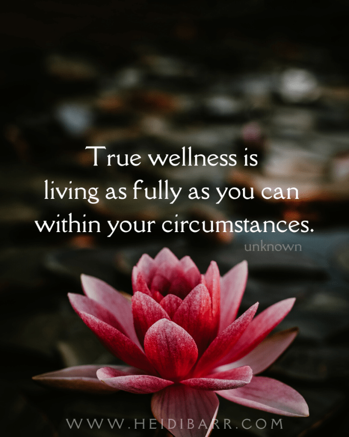 The Look of True Wellness – Heidi Barr | Author