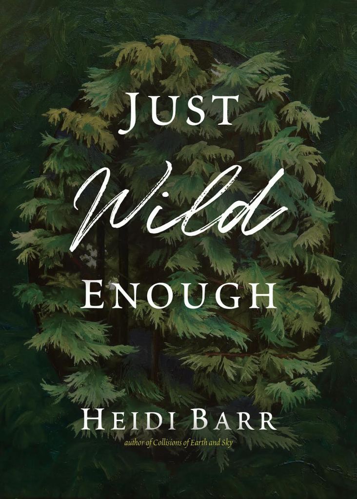 Books – Heidi Barr | Author